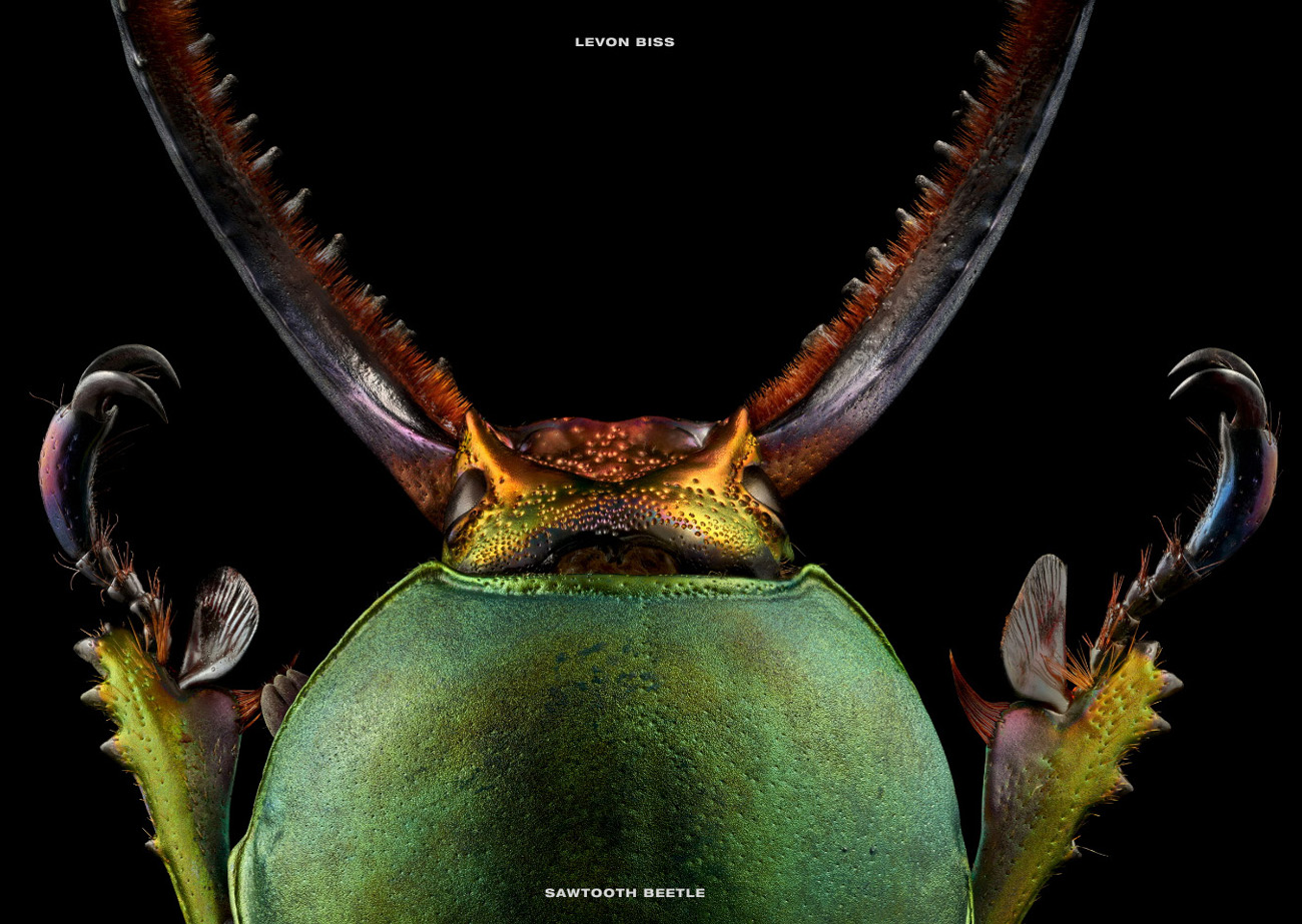 Between Friends — Levon Biss