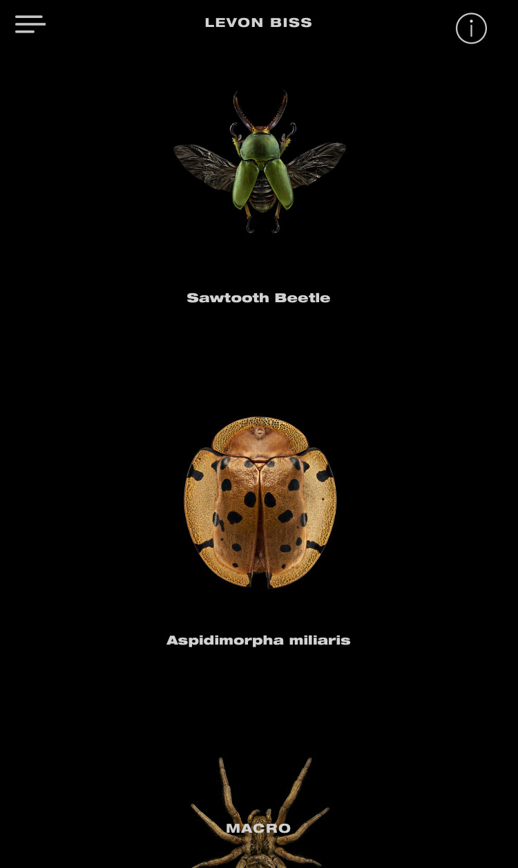 Between Friends — Levon Biss